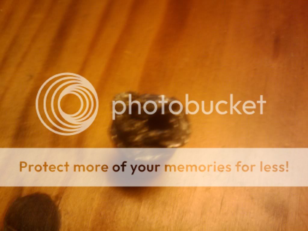 Spinning license plate bolts | VW Vortex - Volkswagen Forum