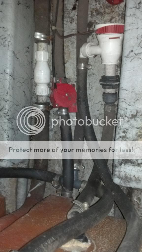 Livewell overflow check valve...201