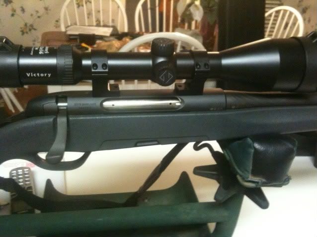 Scope Mounts for Steyr Mountain Rifle? | GON Forum