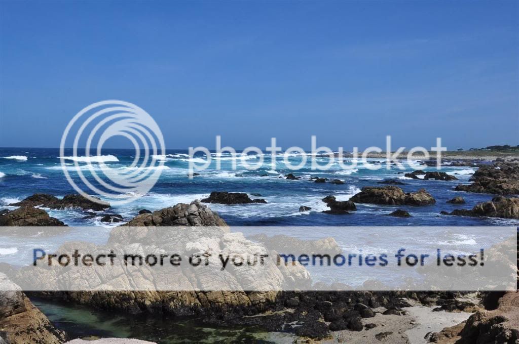 Pictures from monterey poker run - CorvetteForum - Chevrolet Corvette ...