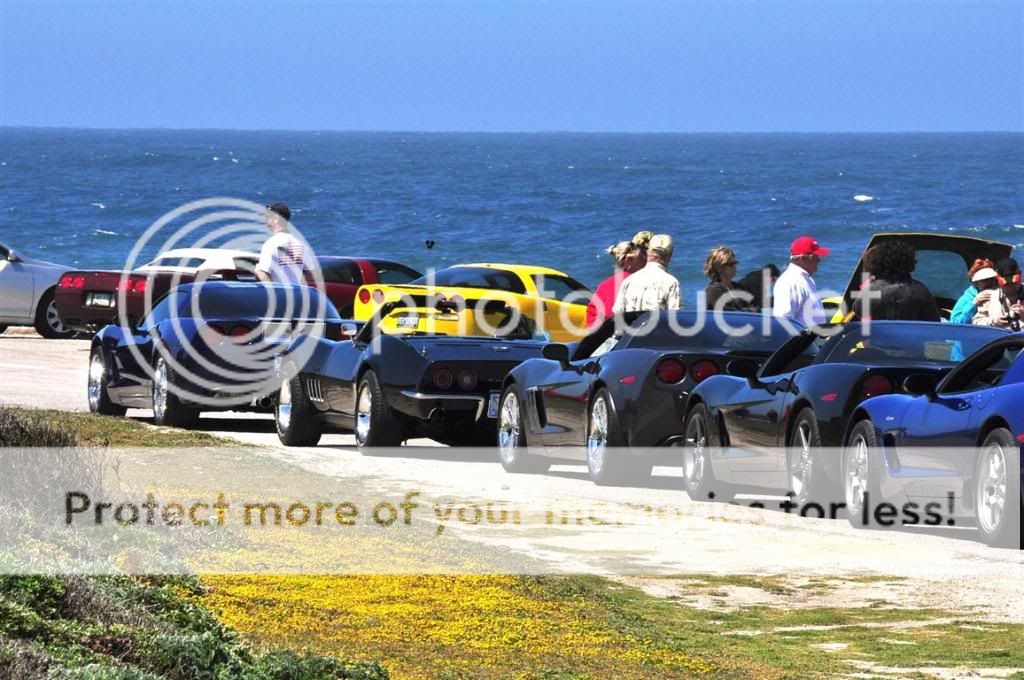 Pictures from monterey poker run - CorvetteForum - Chevrolet Corvette ...